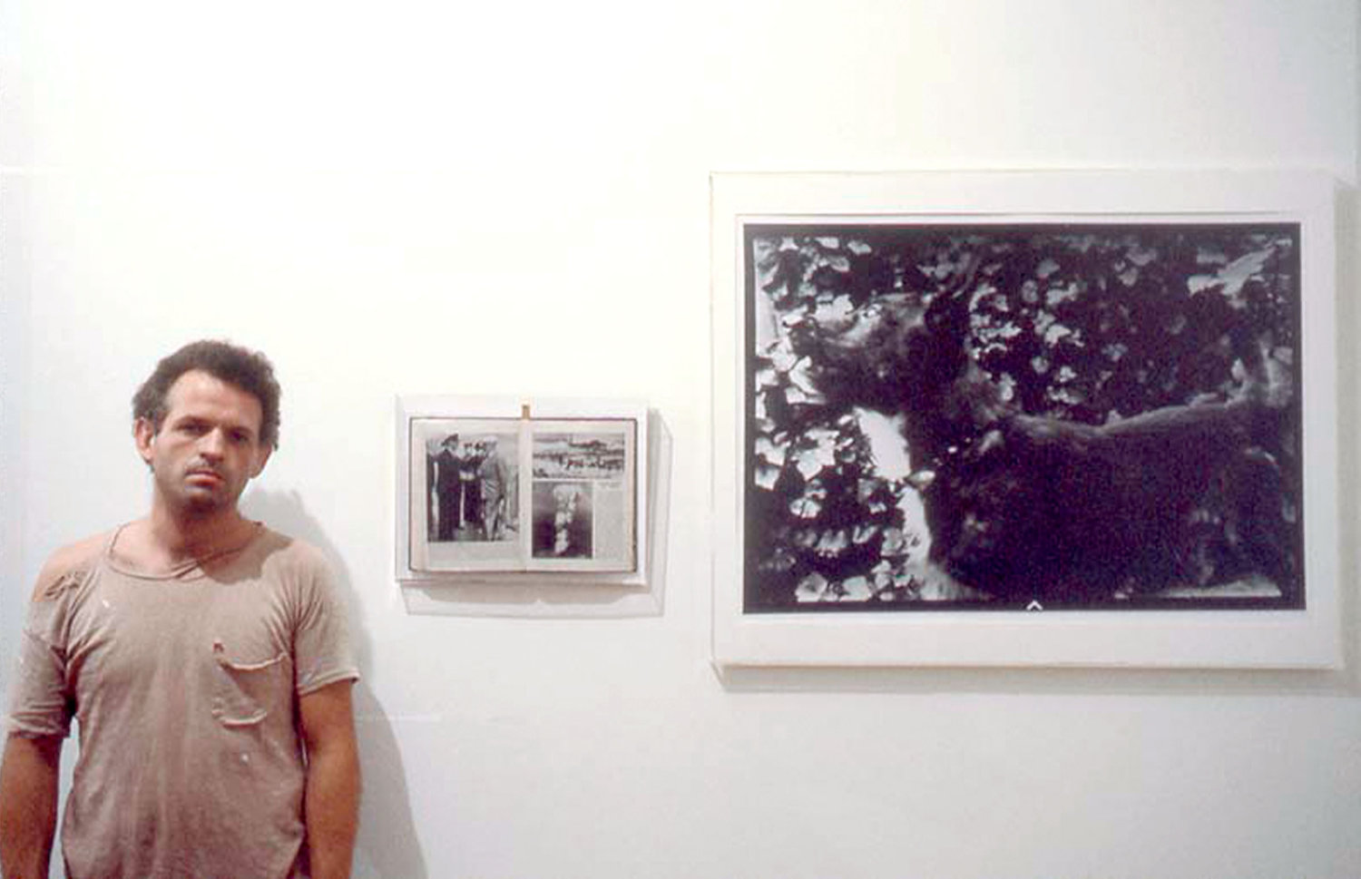 Biography - David Reynolds